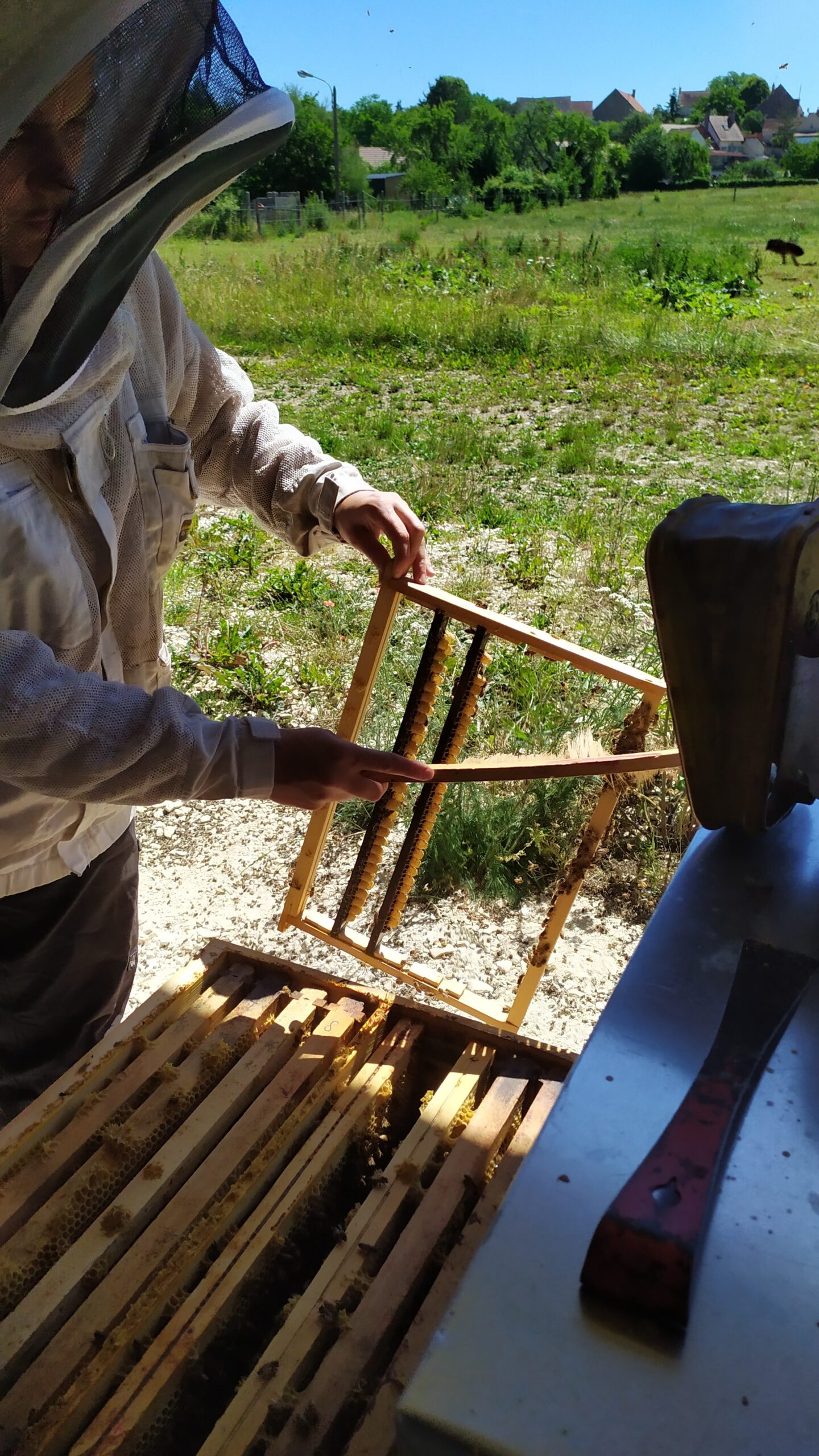 FANNY CADOUX – La Belle Nièvre